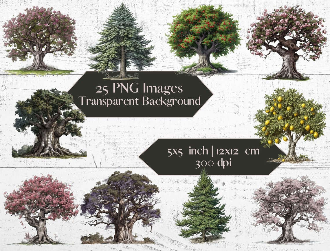 Old Tree Clipart Bundle 25 PNG Forest Woodland Tree Plant - Etsy