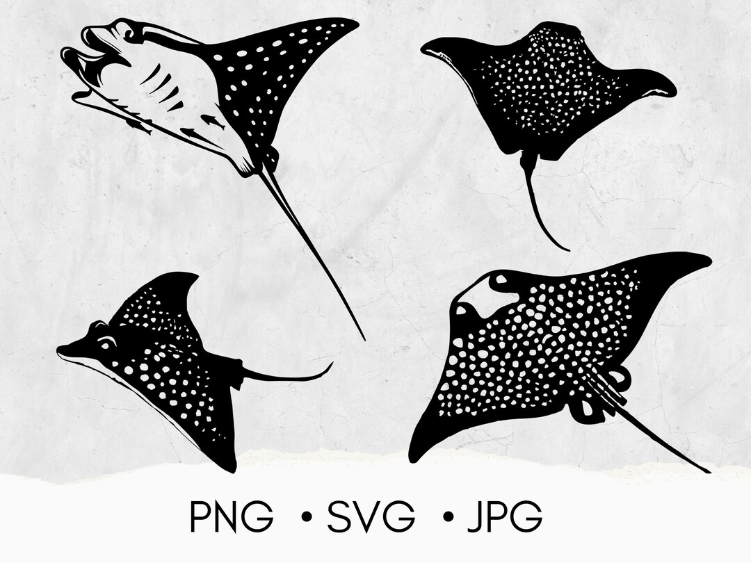 Ray Bundle | SVG - PNG - DXF - Eps | Silhouette | Clipart | Animal T ...