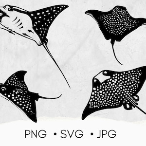 Ray Bundle | SVG - PNG - DXF - Eps | Silhouette | Clipart | Animal T ...