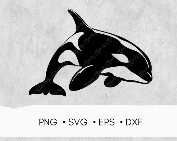 Orca Killer Whale Sea Panda SVG PNG DXF Eps - Etsy Australia
