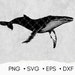 Humpback Whale - SVG - PNG - DXF - Eps | Silhouette | Clipart | Ocean T ...