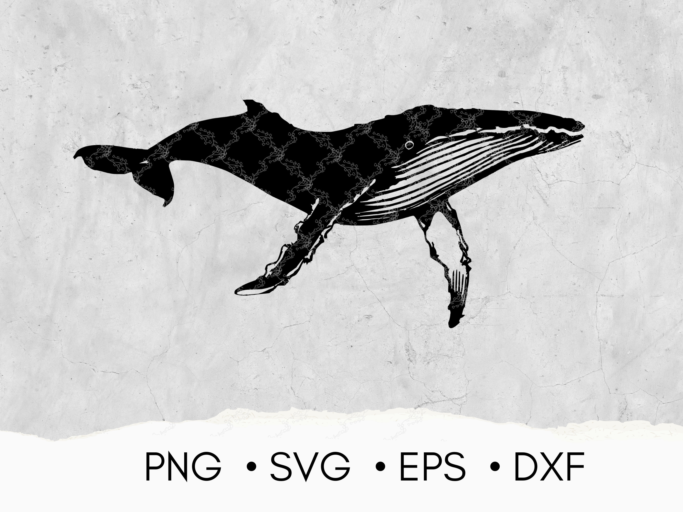 Humpback Whale - SVG - PNG - DXF - Eps | Silhouette | Clipart | Ocean T ...