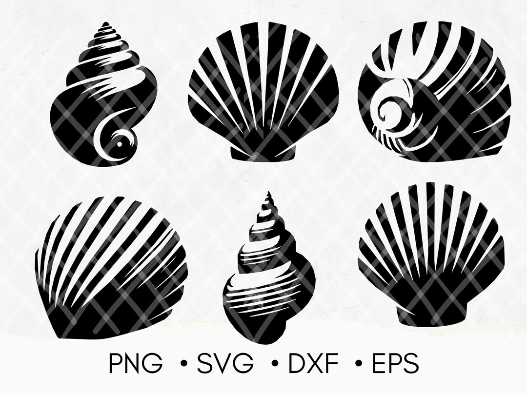 Sea Shells SVG - PNG - DXF - Eps | Beach Silhouette Beachy Clipart ...