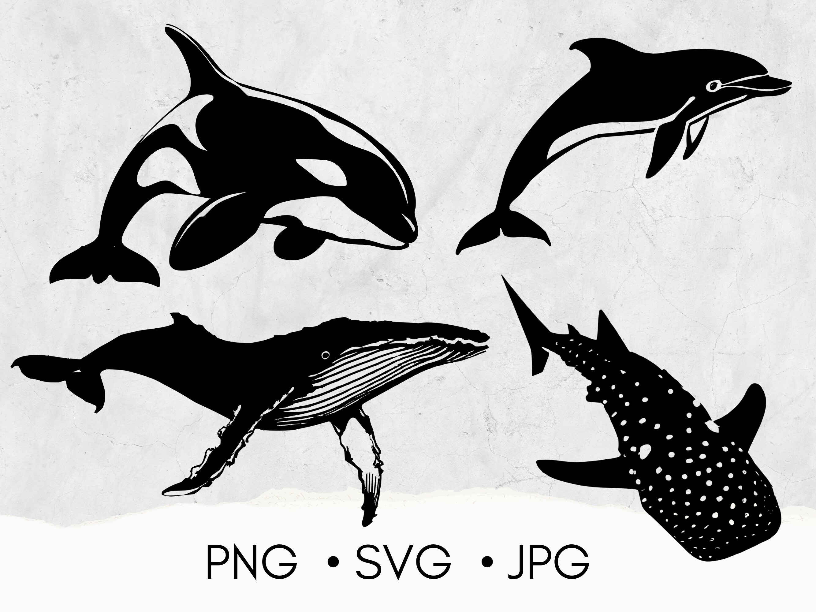 Pod Pack | SVG - PNG - DXF - Eps | Silhouette | Clipart | Sea Animal T ...