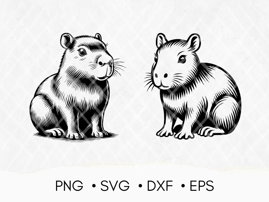 Capybara | SVG - PNG - DXF - Eps | Capybara T-shirt Designs | Svg Files ...