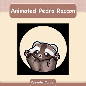 Animated Pedro Raccoon Emote - Etsy