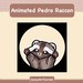 Animated Pedro Raccoon Emote - Etsy