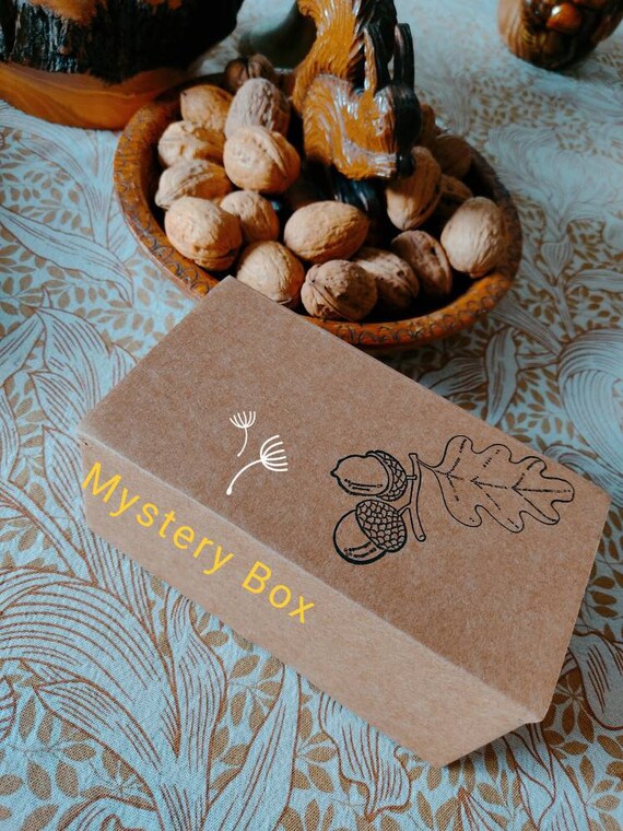 Goblincore Mystery Box Hobbitcore Cottagecore - Etsy