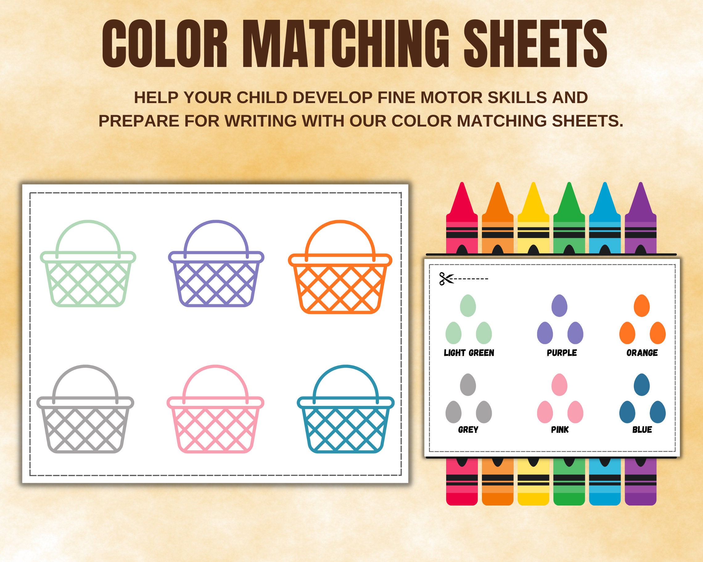 Color Matching Color Activity Learning Colors Toddler - Etsy