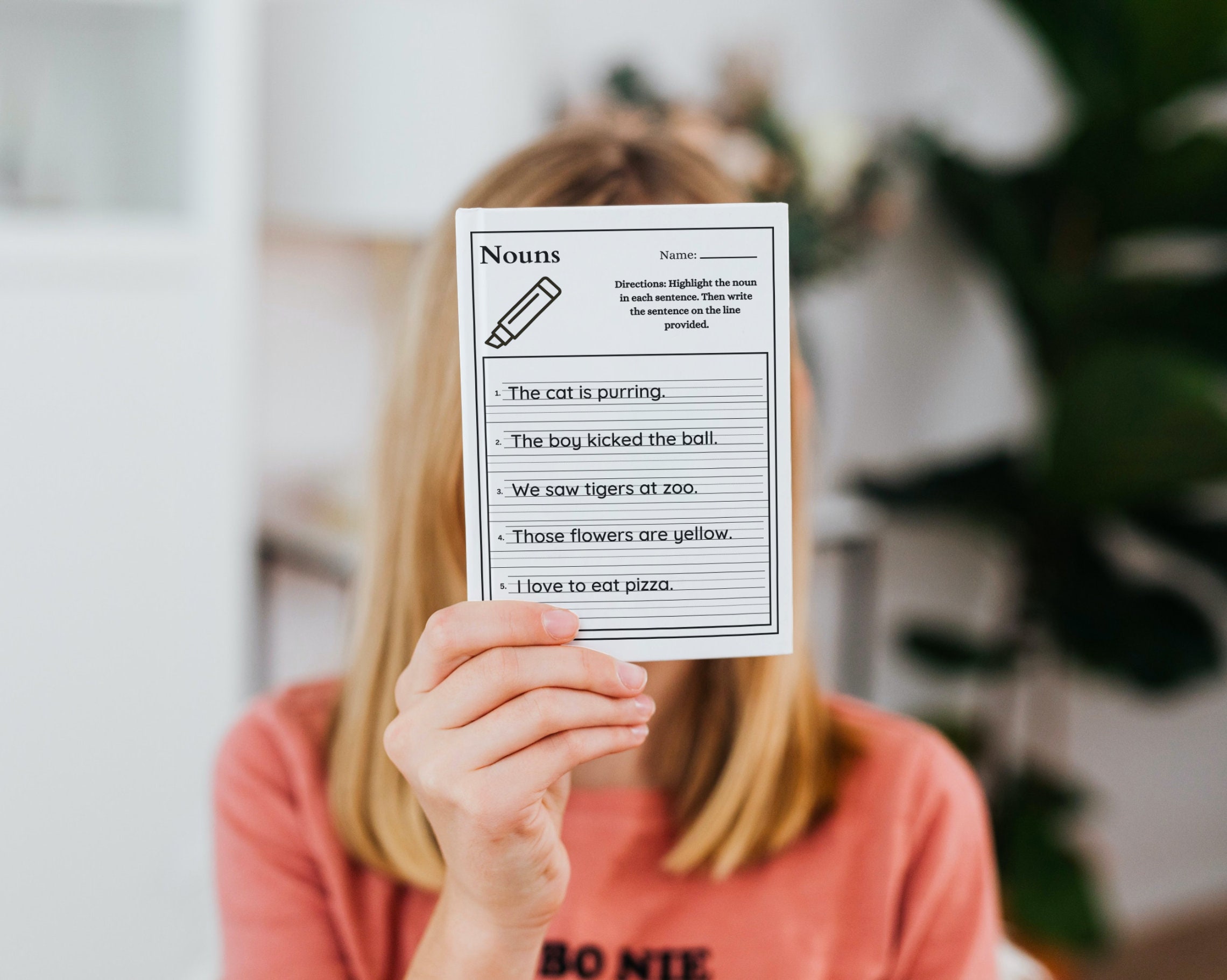 10 Printable Highlight the Nouns Worksheets, 1st, 2nd Grade, Preschool ...