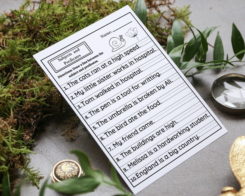 Identify Subject, Predicates, and Verbs in a Sentence Worksheets, 1st ...