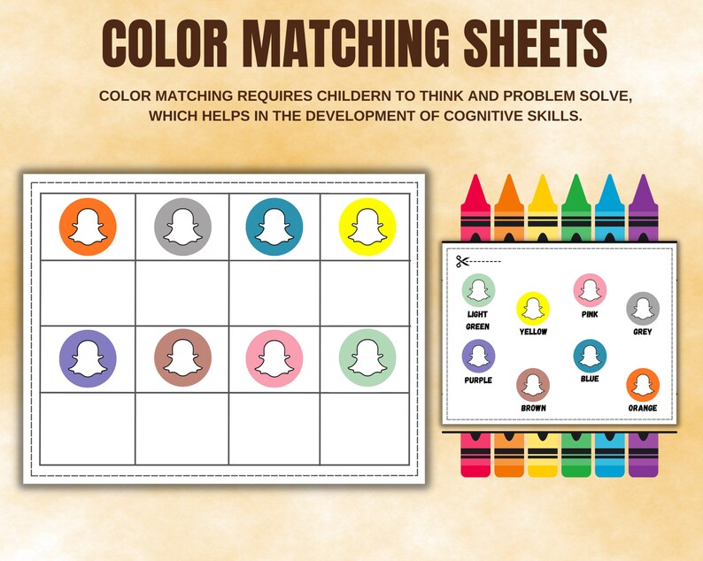 Color Matching Color Activity Learning Colors Toddler - Etsy