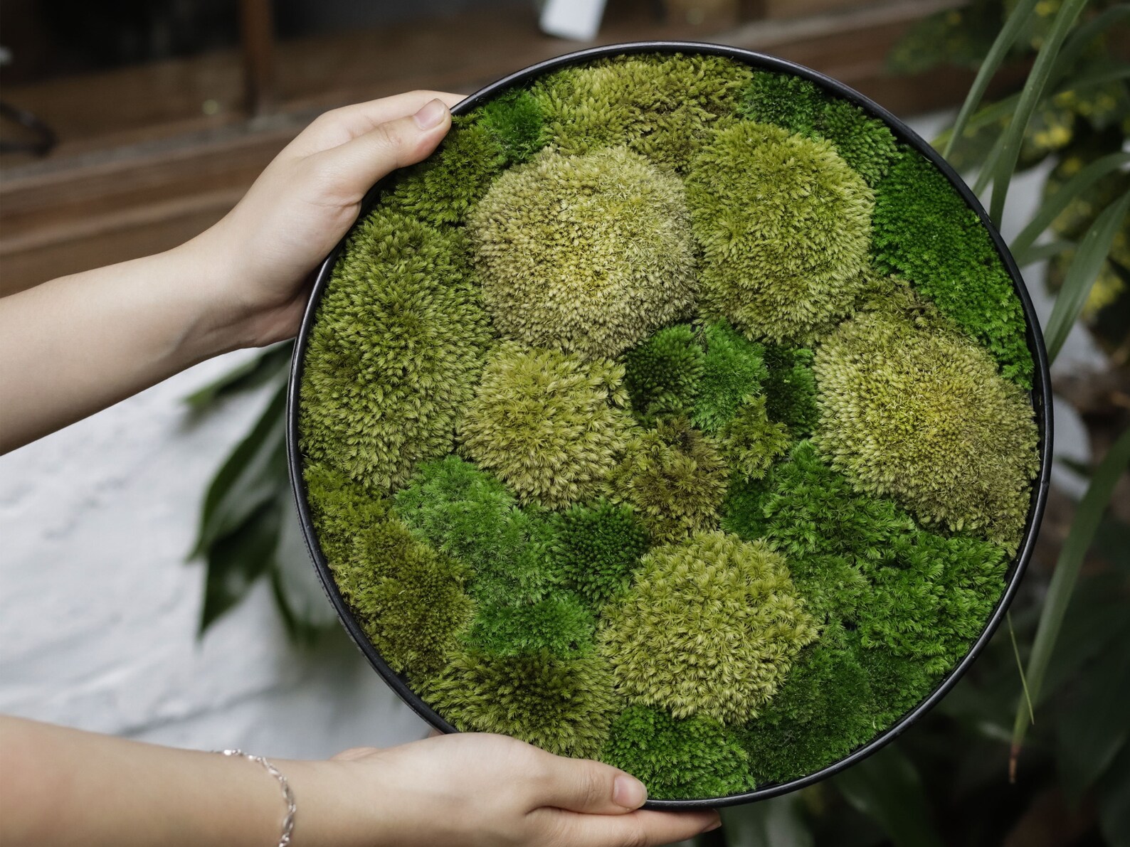 Round Moss Wall Art Wall Moss Decor Preserved Moss Art Framed Nature ...