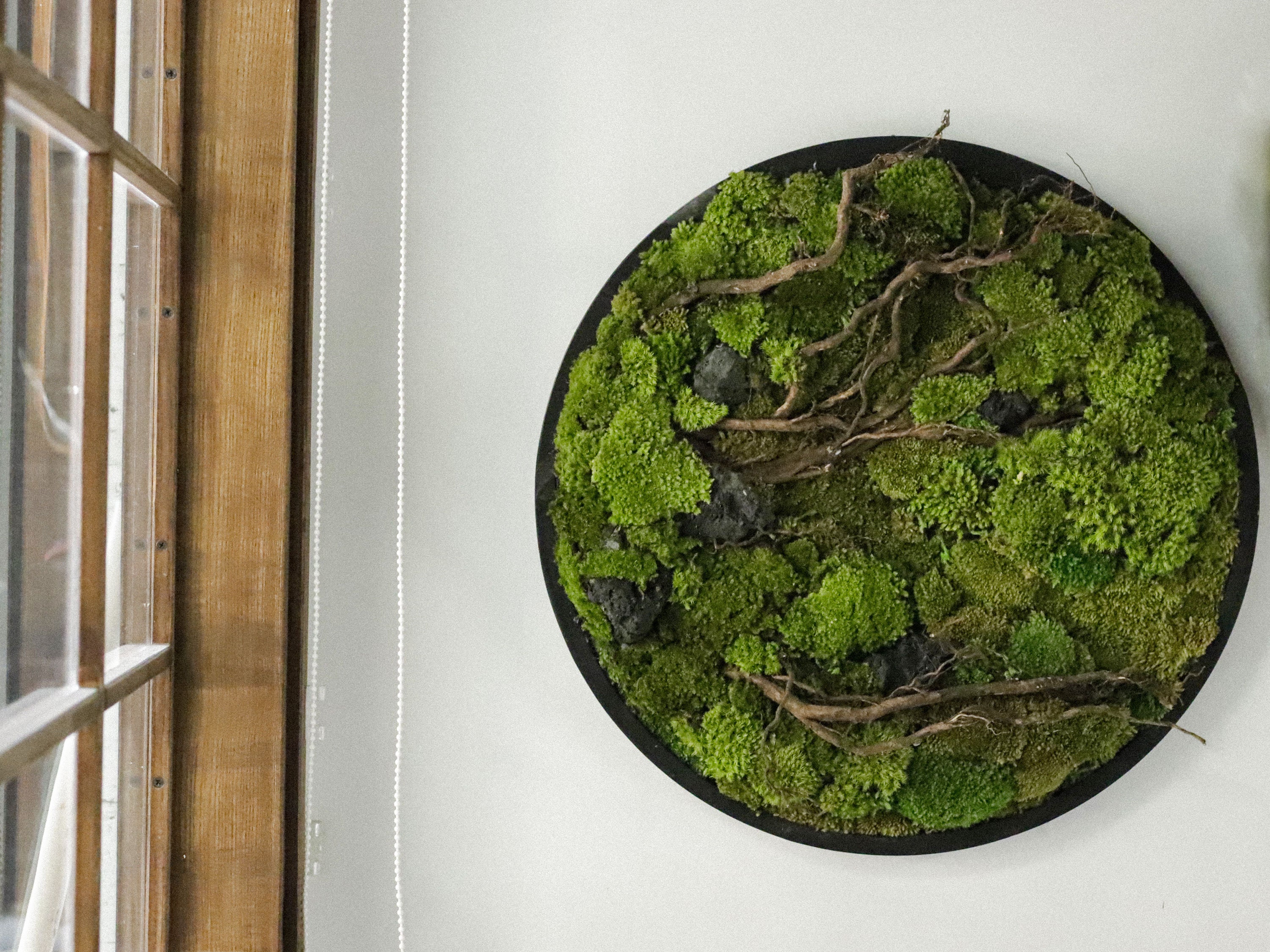 Circle Moss Art, Living Moss Wall Art, Living Preserved Moss Art No ...