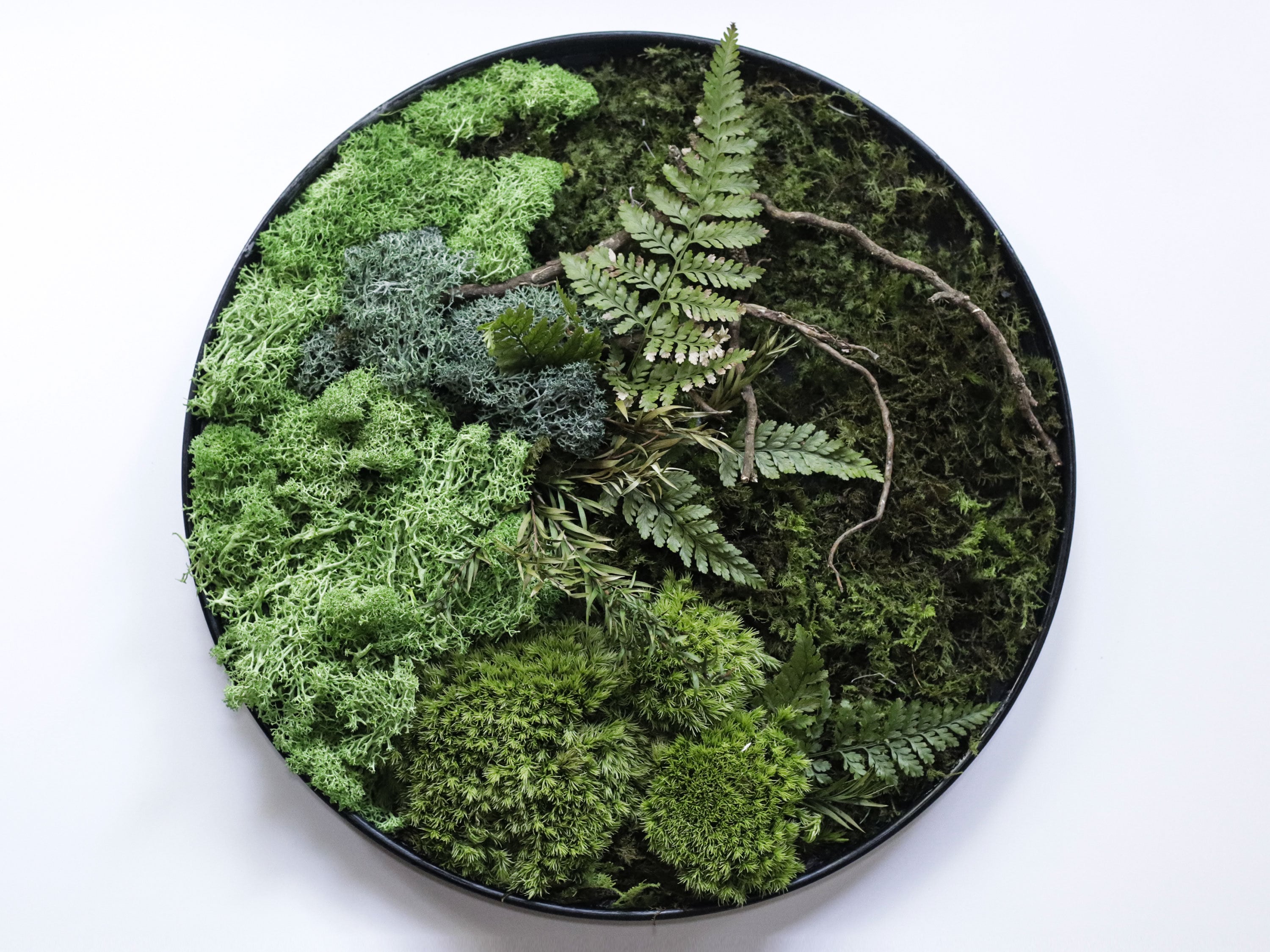 Round Moss Wall Art Wall Moss Decor Preserved Moss Art Framed Nature ...