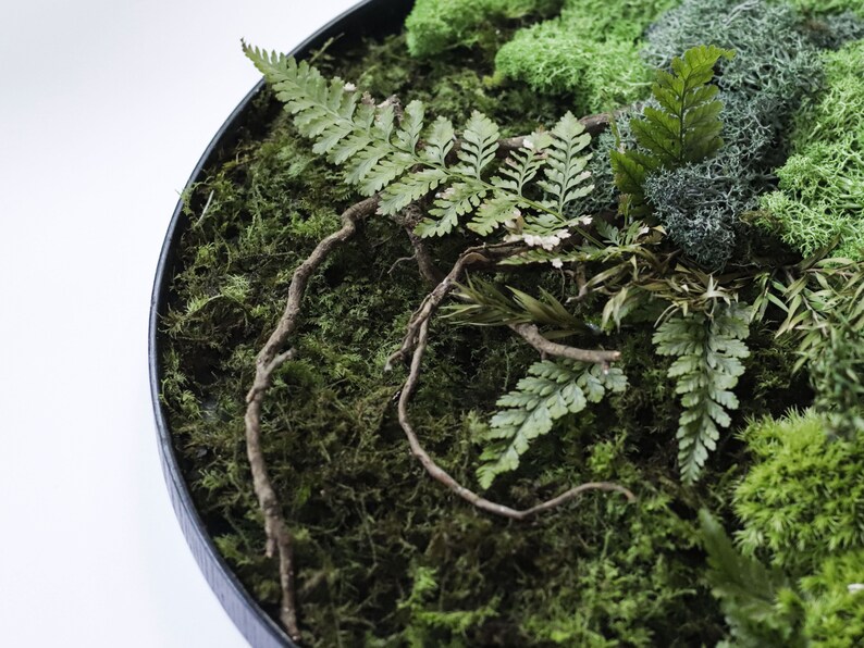 Round Moss Wall Art Wall Moss Decor Preserved Moss Art Framed Nature ...