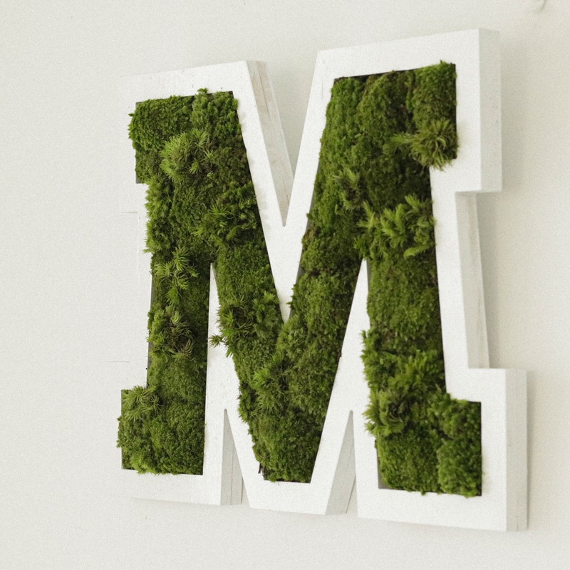 Custom Letter Art - Etsy