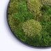 Round Moss Wall Art Wall Moss Decor Preserved Moss Art Framed Nature ...