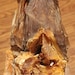 Stockfish Head / Apama / Okporoko(1lb) - Etsy