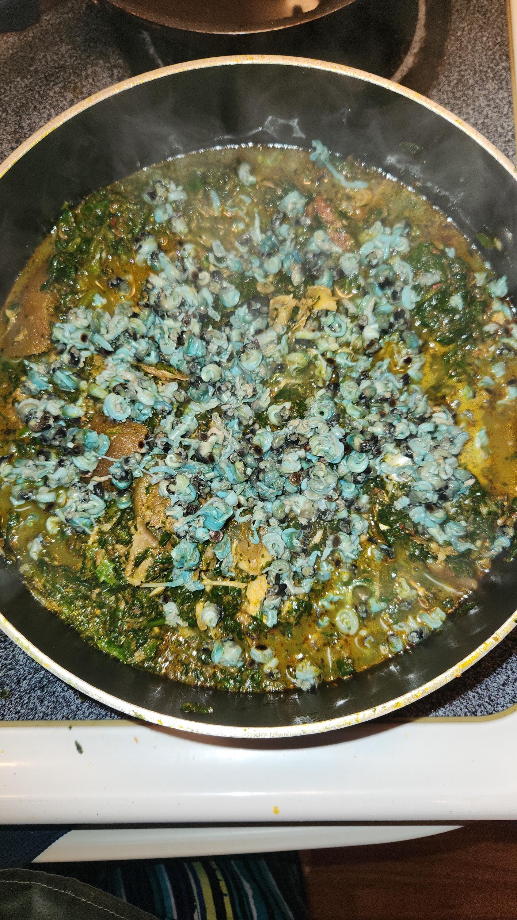 Fresh Periwinkles/isham cold Packed, 1lb - Etsy