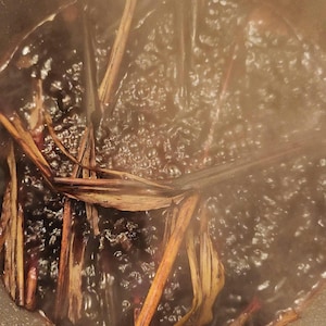 Dried Sorghum Leaves for Waakye, Herbal Tea (poroporo Baaba) - Etsy