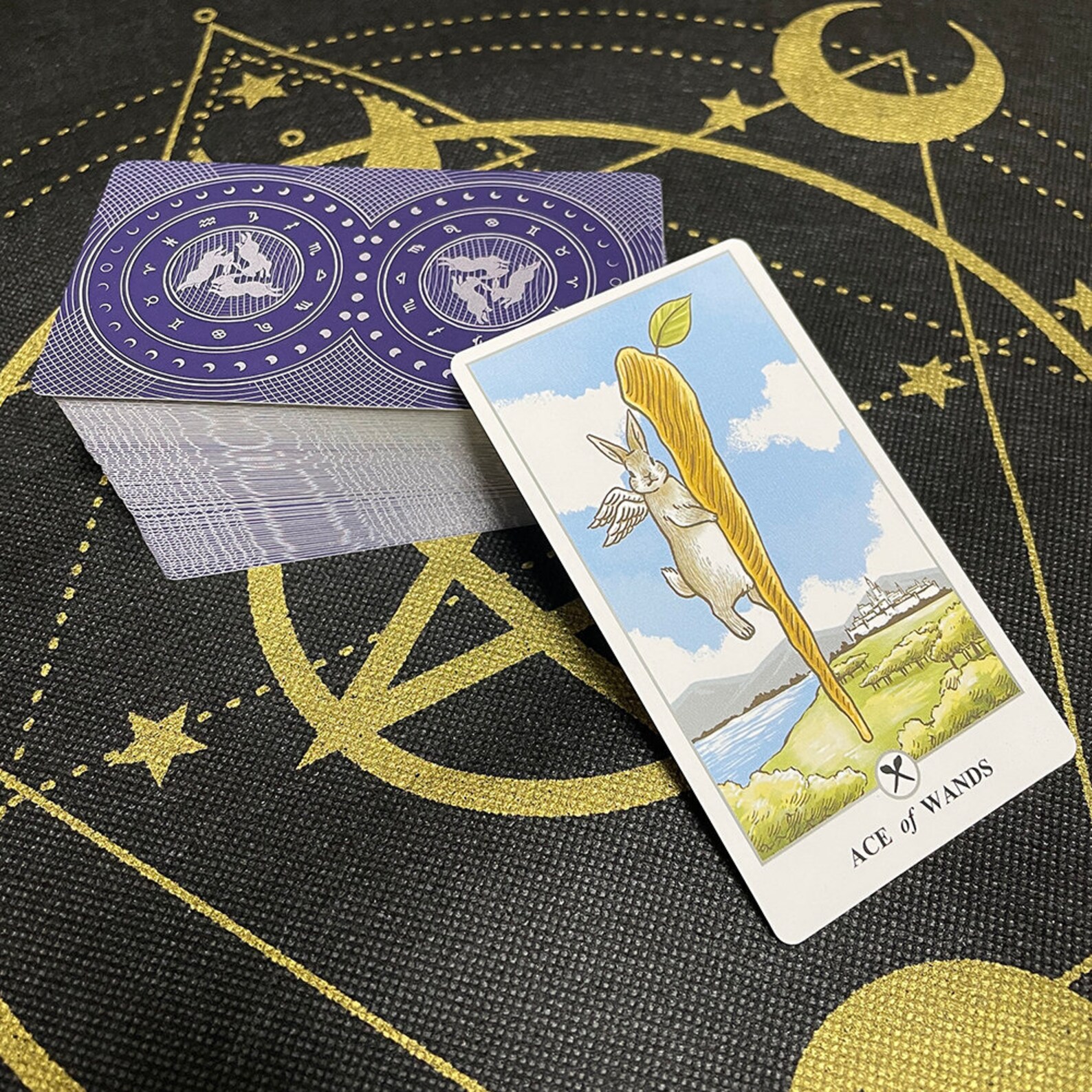 Lunalapin Tarot Cards Rabbits Tarot Reading Deck for - Etsy Canada