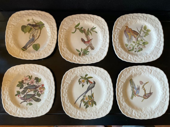 Set of 6 Alfred Meakin England Audubon Birds of America - Etsy