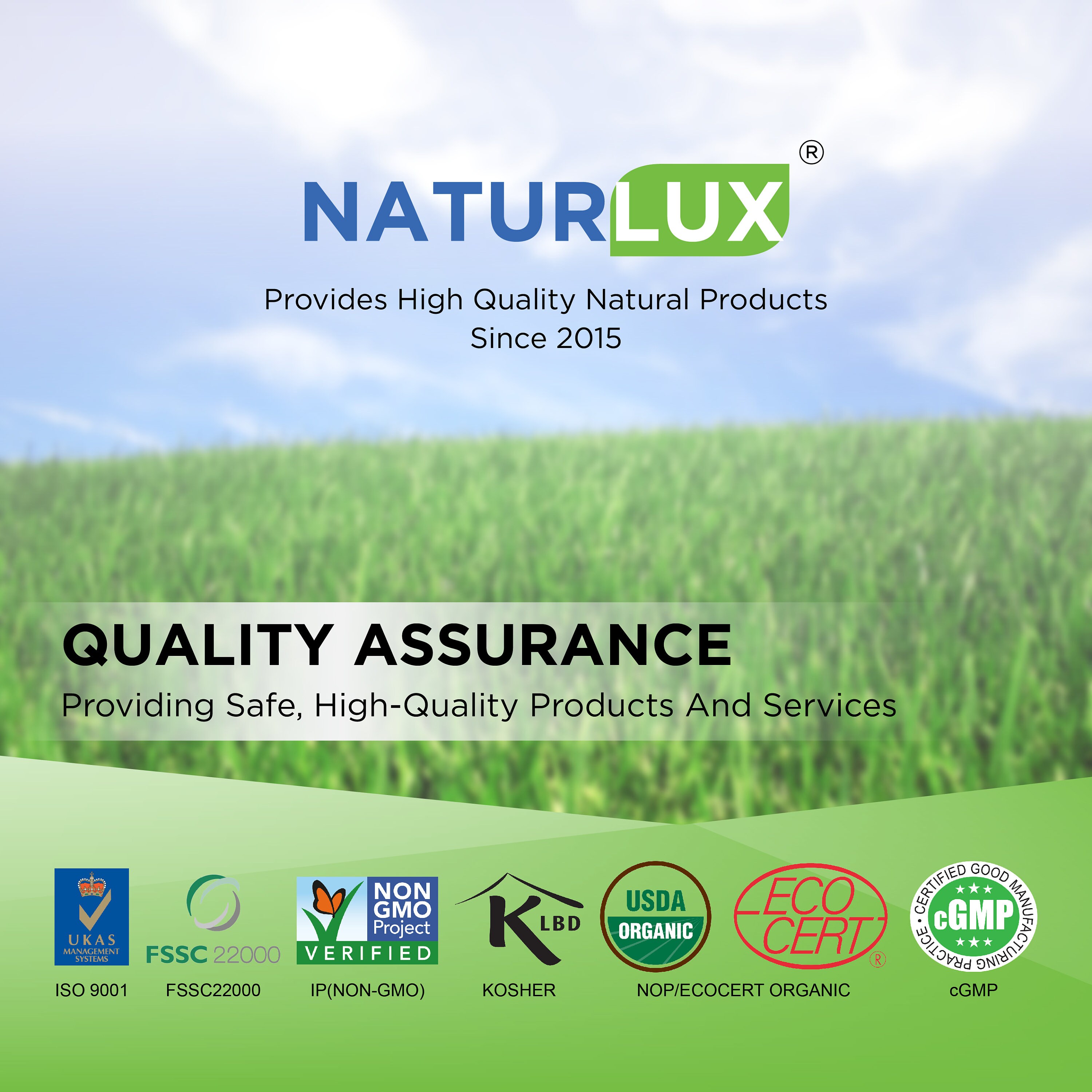 Coconut Oil Powder Made From 100% Pure Coconuts, 200g (0.4lb), No Gmos ...