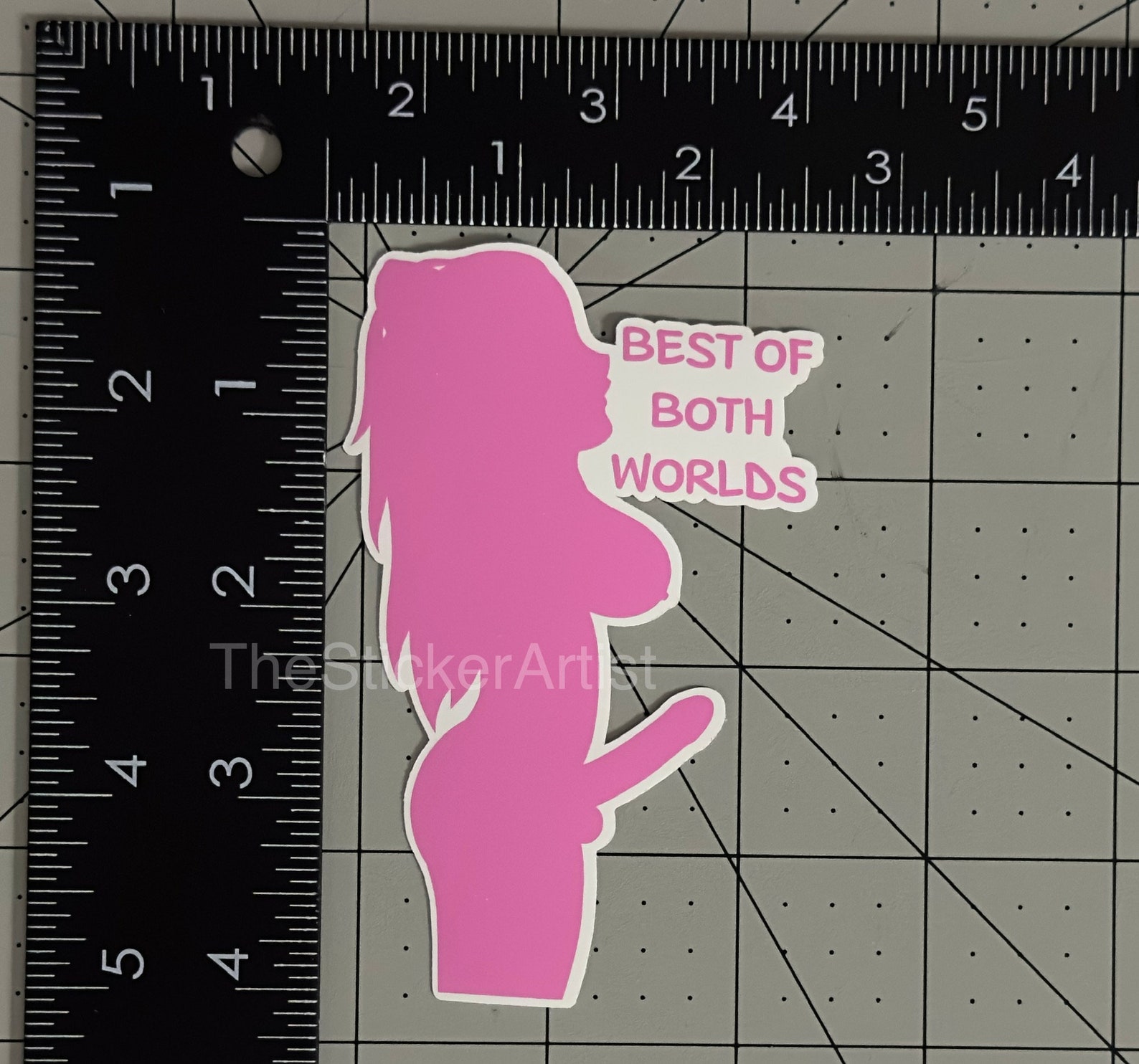 Futanari Shemale Best of Both Worlds Vinyl Sticker matte - Etsy