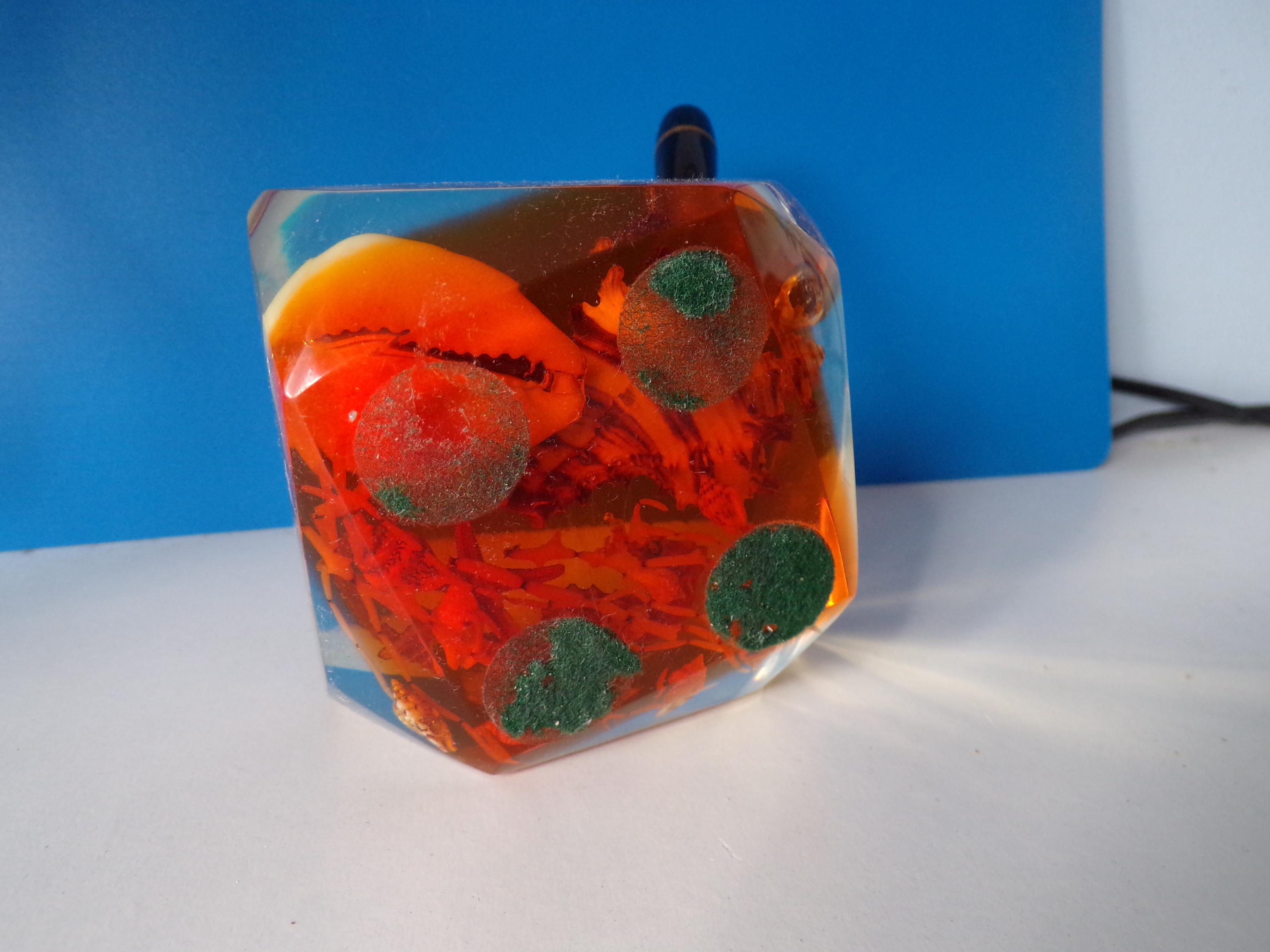 Vintage 1960s Lucite Paperweight With a Pen Holder 3D Sea Shells, Sea ...