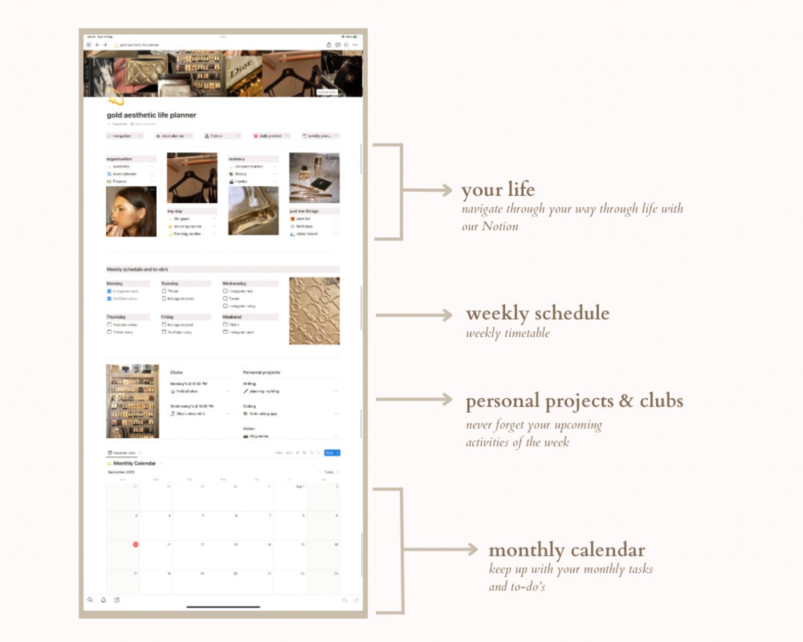 Gold Aesthetic Notion Life Planner, Aesthetic Notion Organiser ...