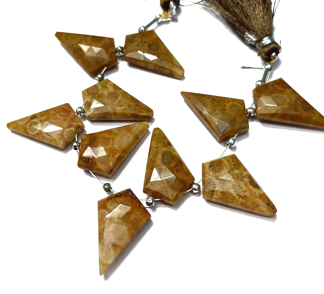 Fossil Coral Kite Shape, Faceted Kite Shape, 10 Pcs, Size- 14x22 MM ...