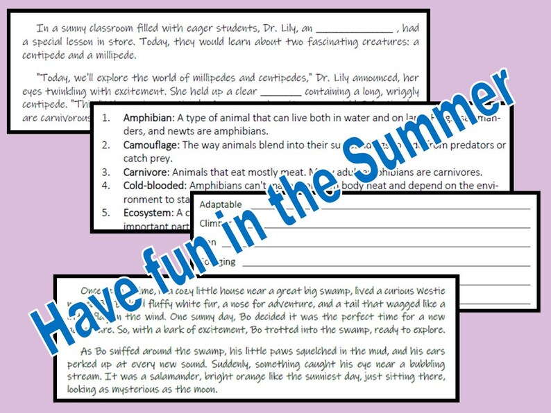 Swamp Animals - Summer Activity Book, Digital Download, Summer, End of ...