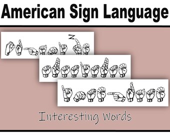 Frequently Misspelled Words 2nd Grade 3rd Grade Digital - Etsy