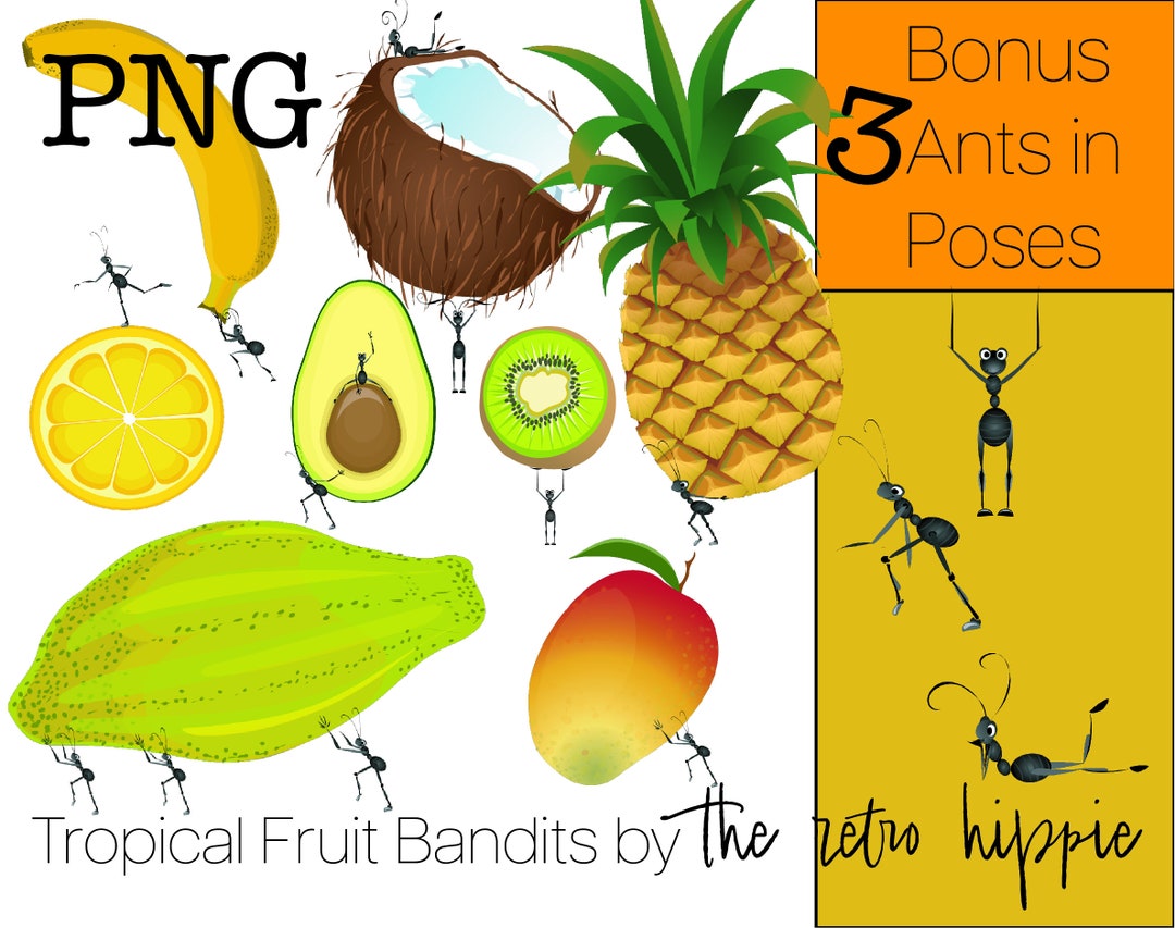 Tropical Fruit Ant Bandits Digital Art PNG With Transparent Background ...