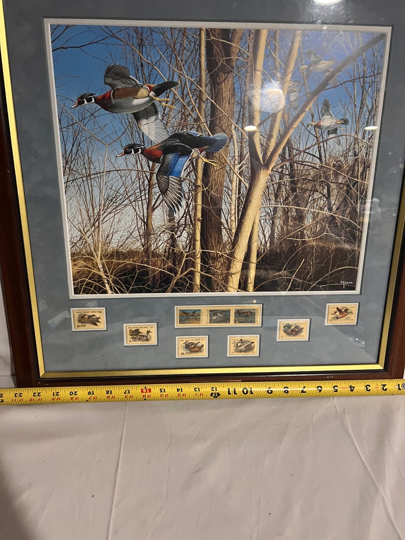 Tight Quarters Waterfowl Fine Art Print by David Maass - Etsy