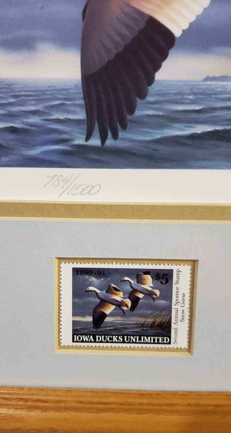 Vintage Iowa Ducks Unlimited Duck Stamp Print 1990-91 17X15 - Etsy