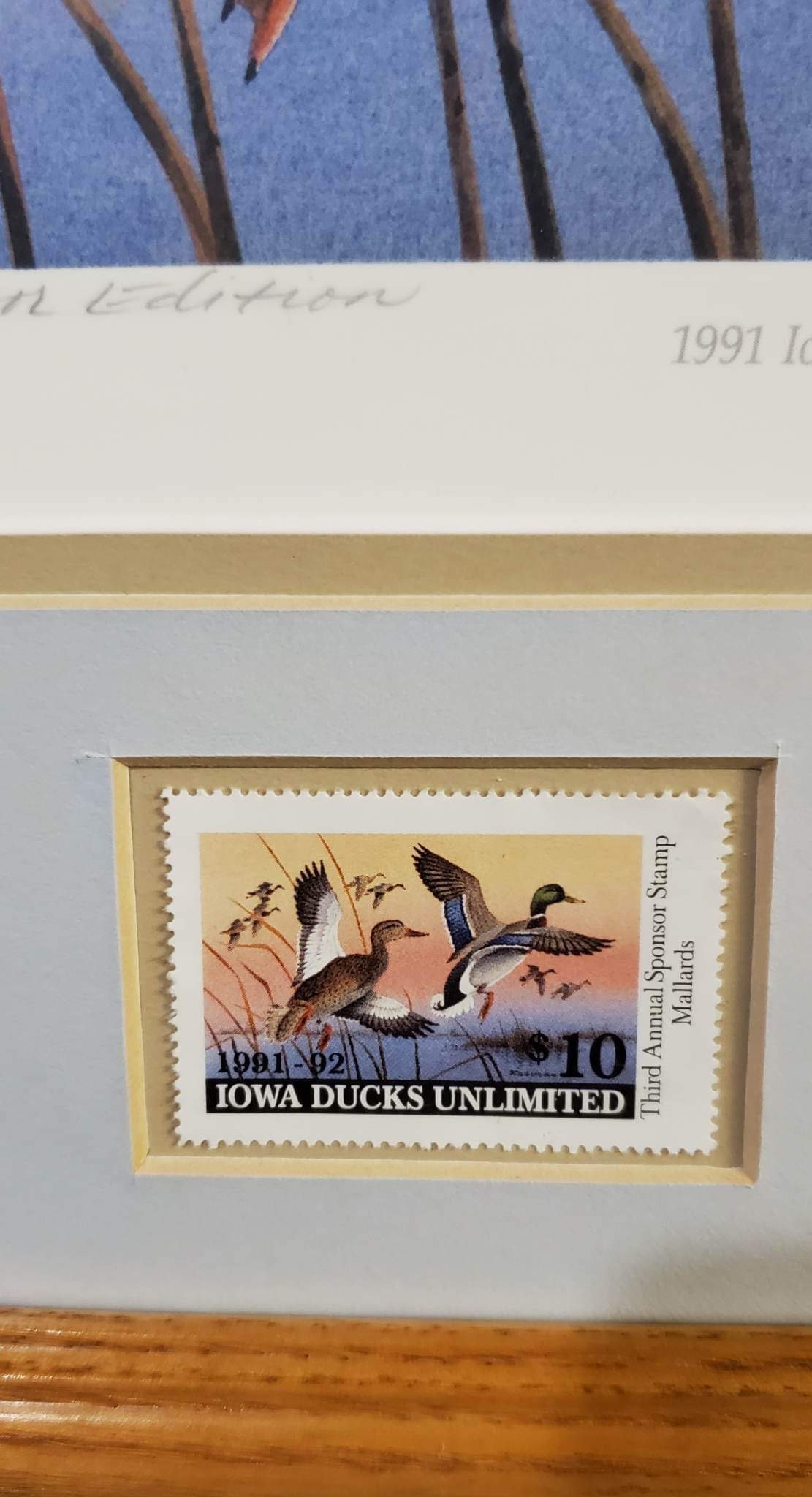 Vintage 1990-91 Iowa Ducks Unlimited Duck Stamp Print Excellent ...