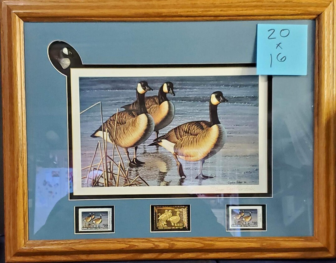 Vintage 1995 Iowa Ducks Unlimited Duck Stamp Print, Excellent Condition ...