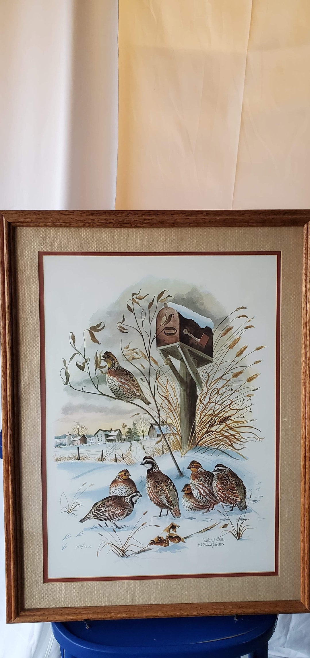 Rare Vintage Pheasant Print by Patrick J Costello Signed and Numbered ...