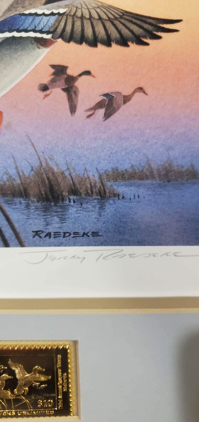 Vintage 1990-91 Iowa Ducks Unlimited Duck Stamp Print Excellent ...