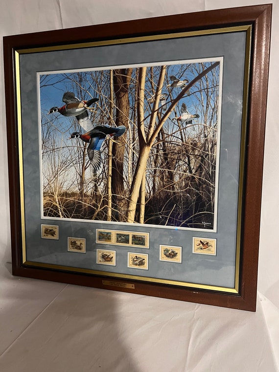 Tight Quarters Waterfowl Fine Art Print by David Maass - Etsy