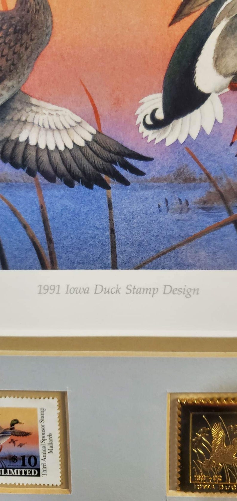 1991 Iowa Ducks Unlimited Print: Raedeke Sponsor Edition, Framed Art - Etsy