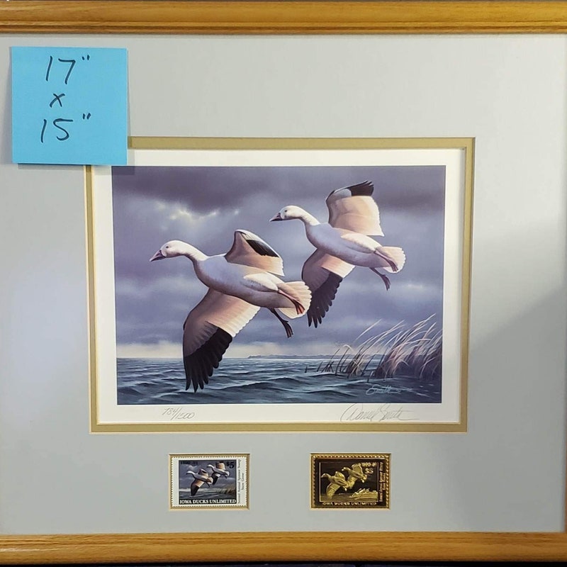 Duck Stamp Frame - Etsy