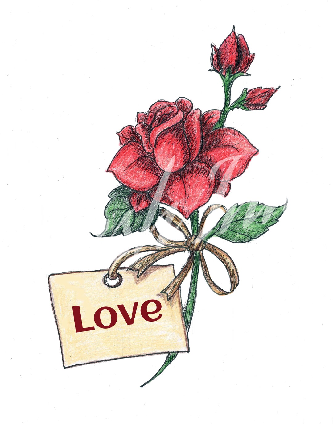 Hand-drawn Red Rose Illustration With Tag (PNG Digital File) - Etsy