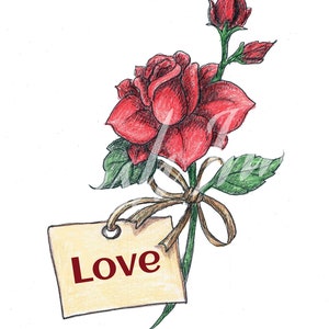 Hand-drawn Red Rose Illustration With Tag (PNG Digital File) - Etsy
