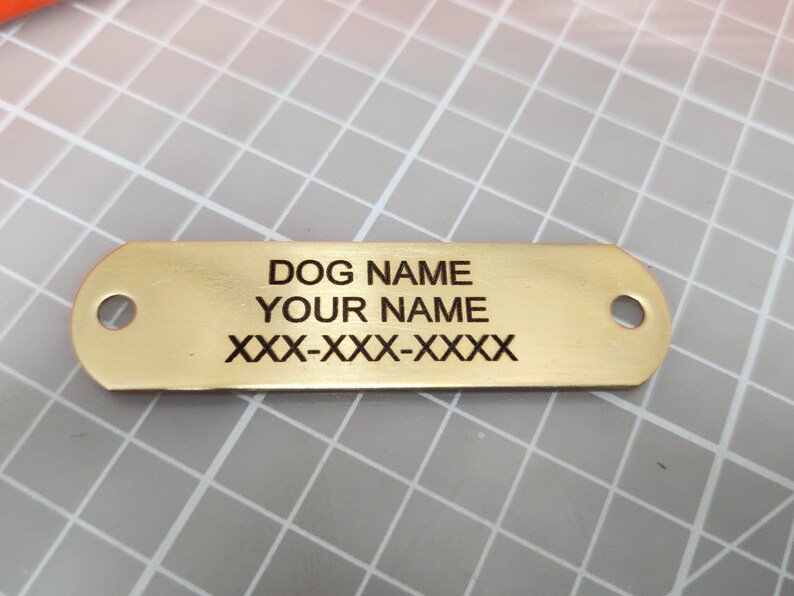 Custom Brass Plate Dog Collar- Customize With Your Dog's Name, Your ...
