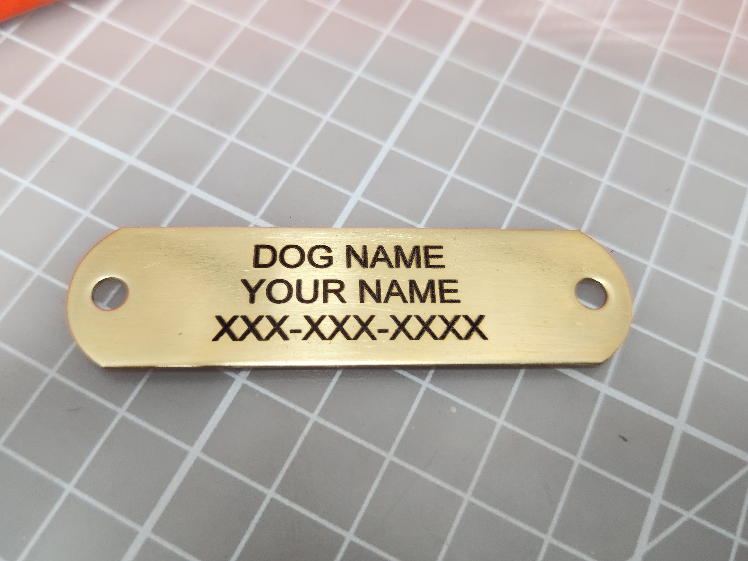 Custom Brass Plate Dog Collar- Customize With Your Dog's Name, Your ...