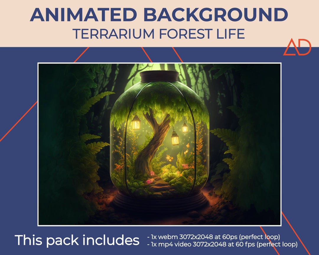 Animated Terrarium Forest Stream Background – Looping Video (digital ...