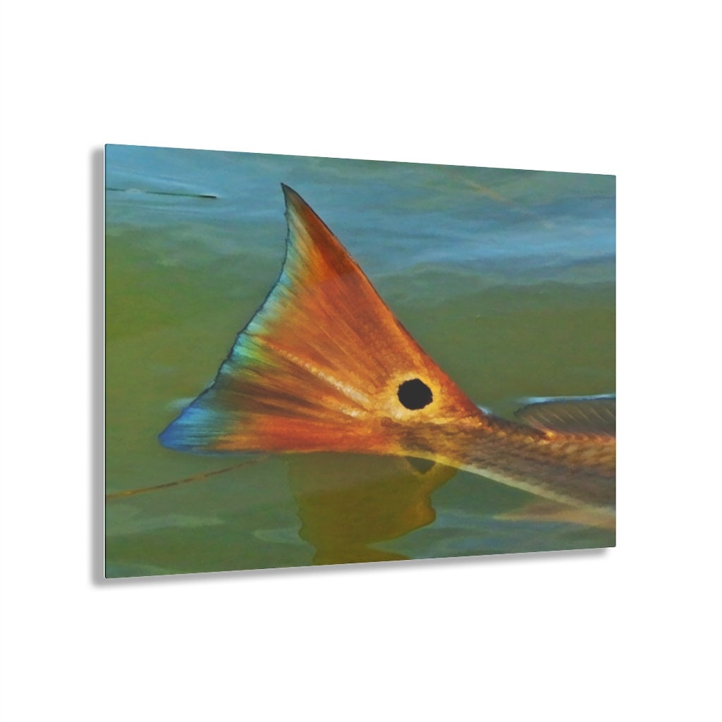 Redfish Oil Painting Acrylic Art Print - Etsy